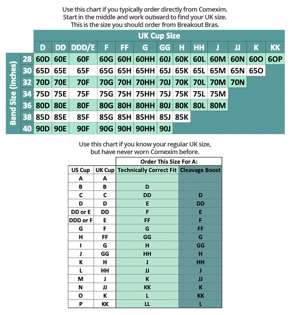 Comexim Clara II Padded Plunge Underwire Bra (CMCLARA2) - Navy Lace ...